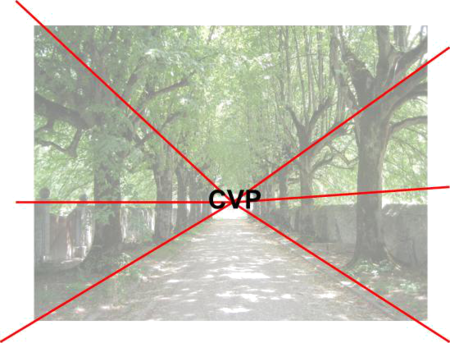 Single Point Perspective - DT Online