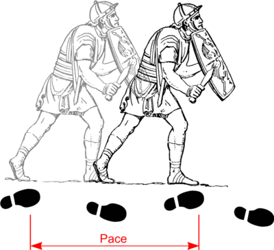 Early Surveying - DT Online