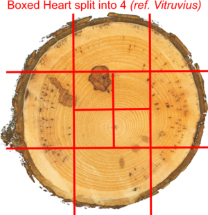 Timber Conversion - DT Online