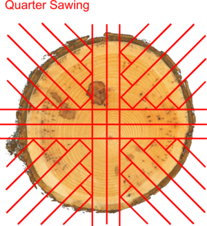 Timber Conversion - DT Online