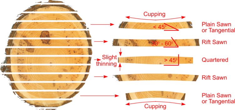 Timber Conversion - DT Online