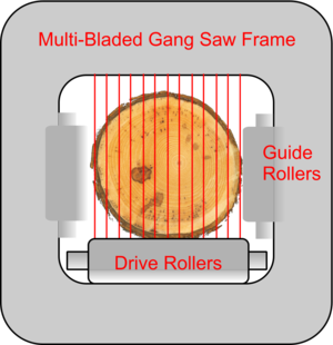 Timber Conversion - DT Online