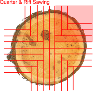 Timber Conversion - DT Online