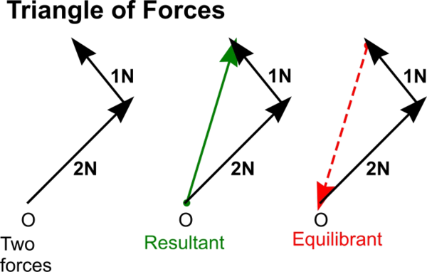 Force Diagrams - DT Online