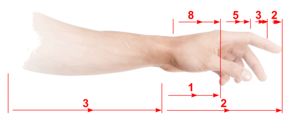 Fibonacci Series - DT Online